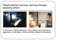 Module 2: Models of Abnormal Psychology – Fundamentals of Psychological ...