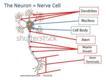 Module 2: Models of Abnormal Psychology – Fundamentals of Psychological ...