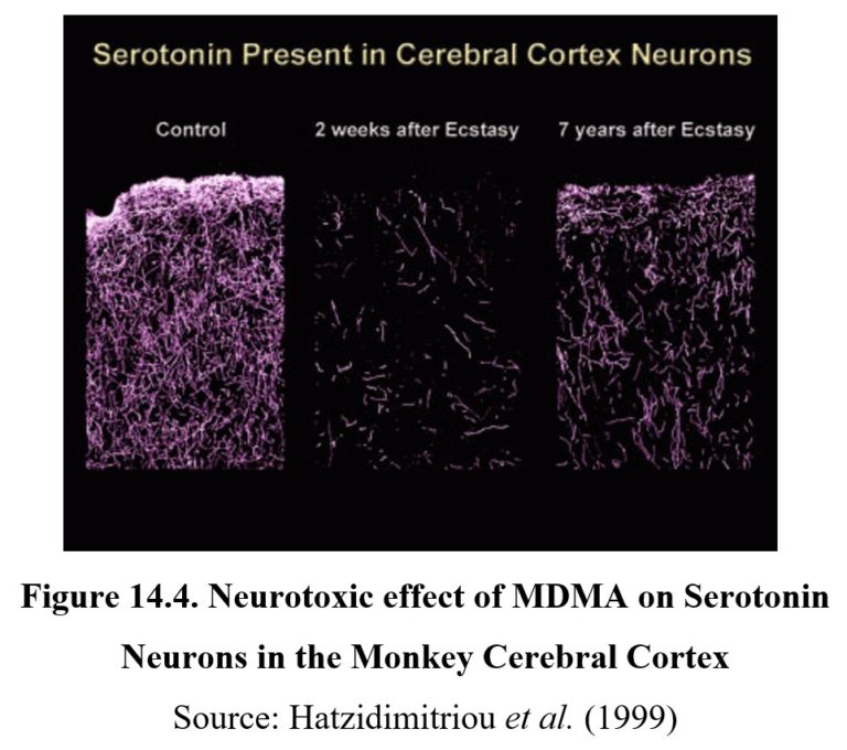 Chapter 14: Psychedelics – Drugs and Behavior