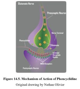 Chapter 14: Psychedelics – Drugs and Behavior