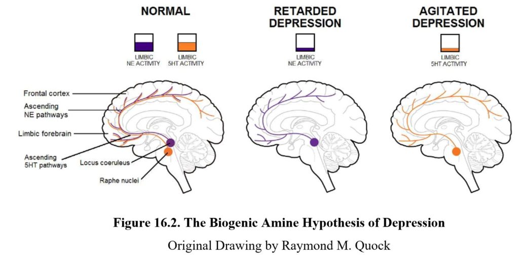 Chapter 16: Antidepressants – Drugs and Behavior