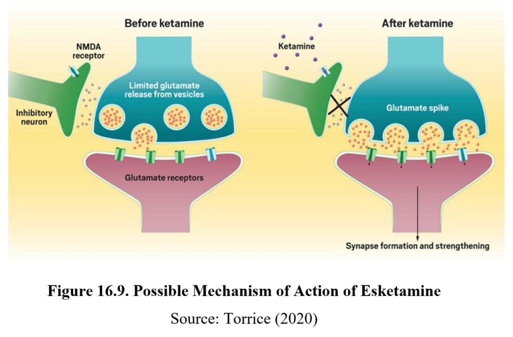 Chapter 16: Antidepressants – Drugs and Behavior