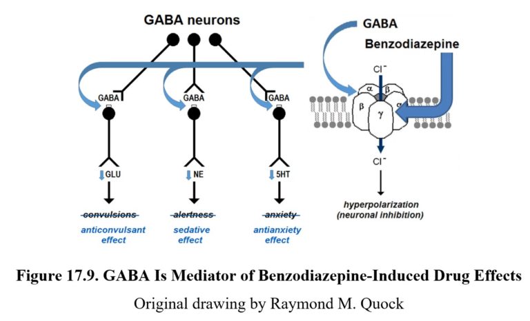 Chapter 17: Anxiolytics – Drugs and Behavior
