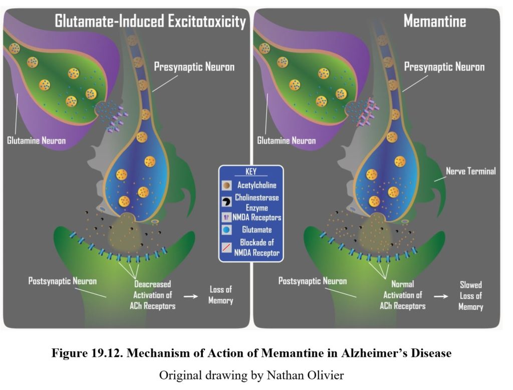 Chapter 19: ADHD and Alzheimer’s Drugs – Drugs and Behavior