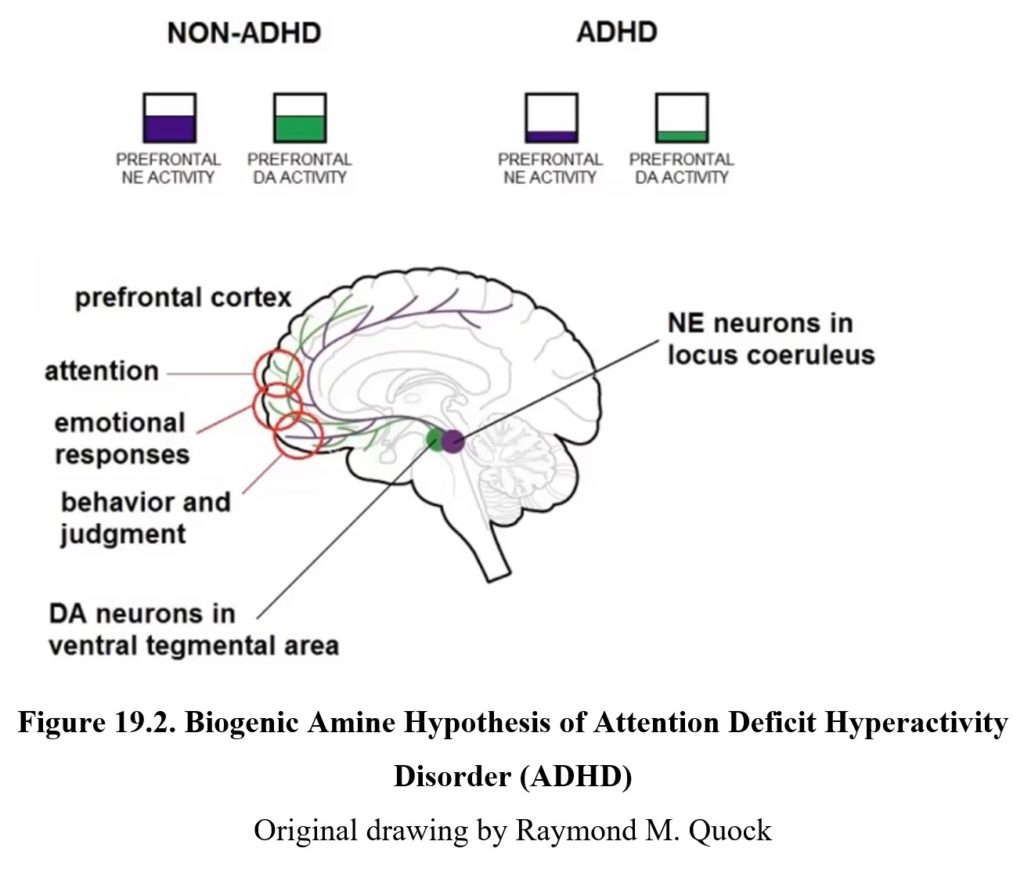 Chapter 19: ADHD and Alzheimer’s Drugs – Drugs and Behavior