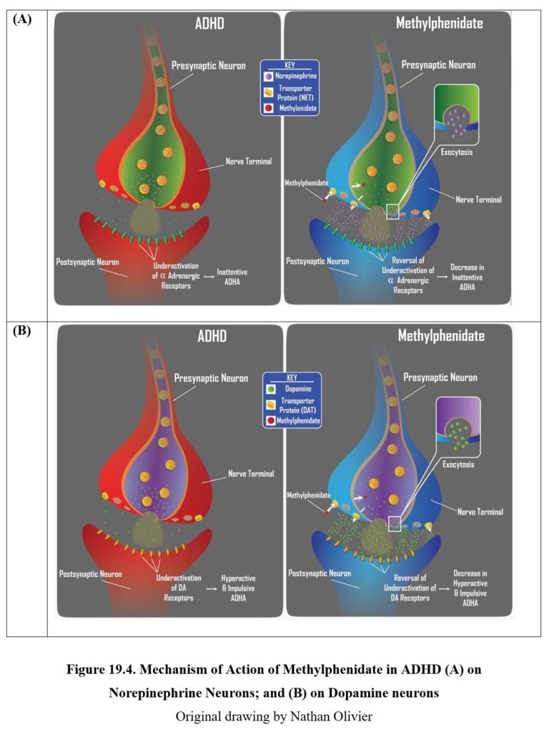 Chapter 19: ADHD and Alzheimer’s Drugs – Drugs and Behavior