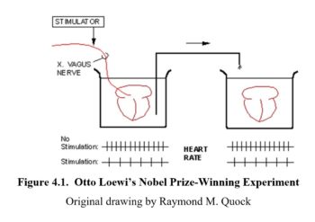 Chapter 4: Neurotransmission – Drugs and Behavior