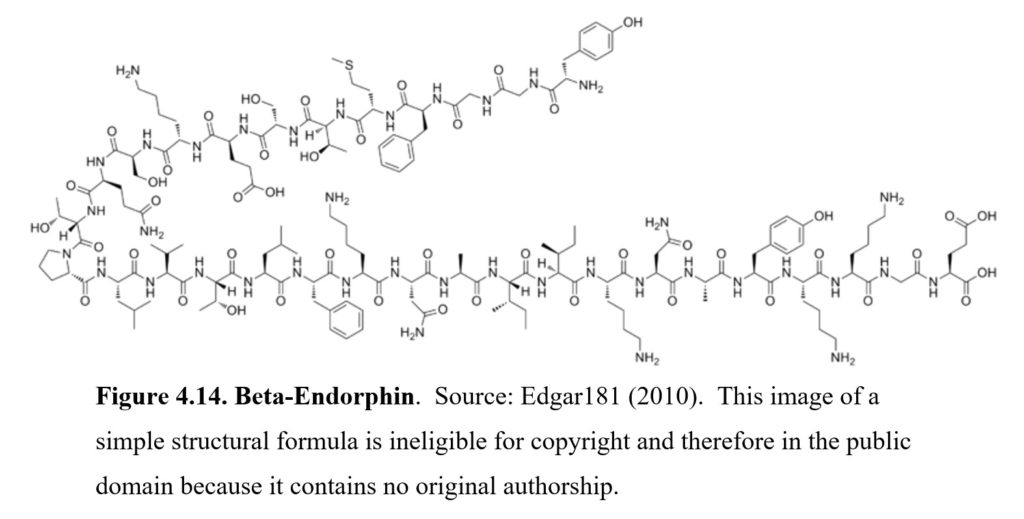 Chapter 4: Neurotransmission – Drugs and Behavior