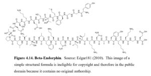 Chapter 4: Neurotransmission – Drugs and Behavior