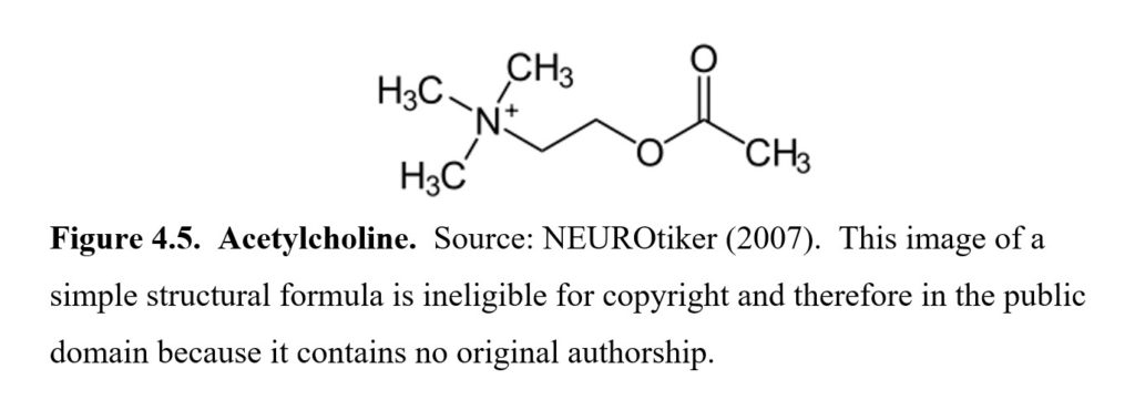 Chapter 4: Neurotransmission – Drugs and Behavior