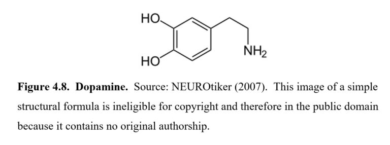 Chapter 4: Neurotransmission – Drugs and Behavior