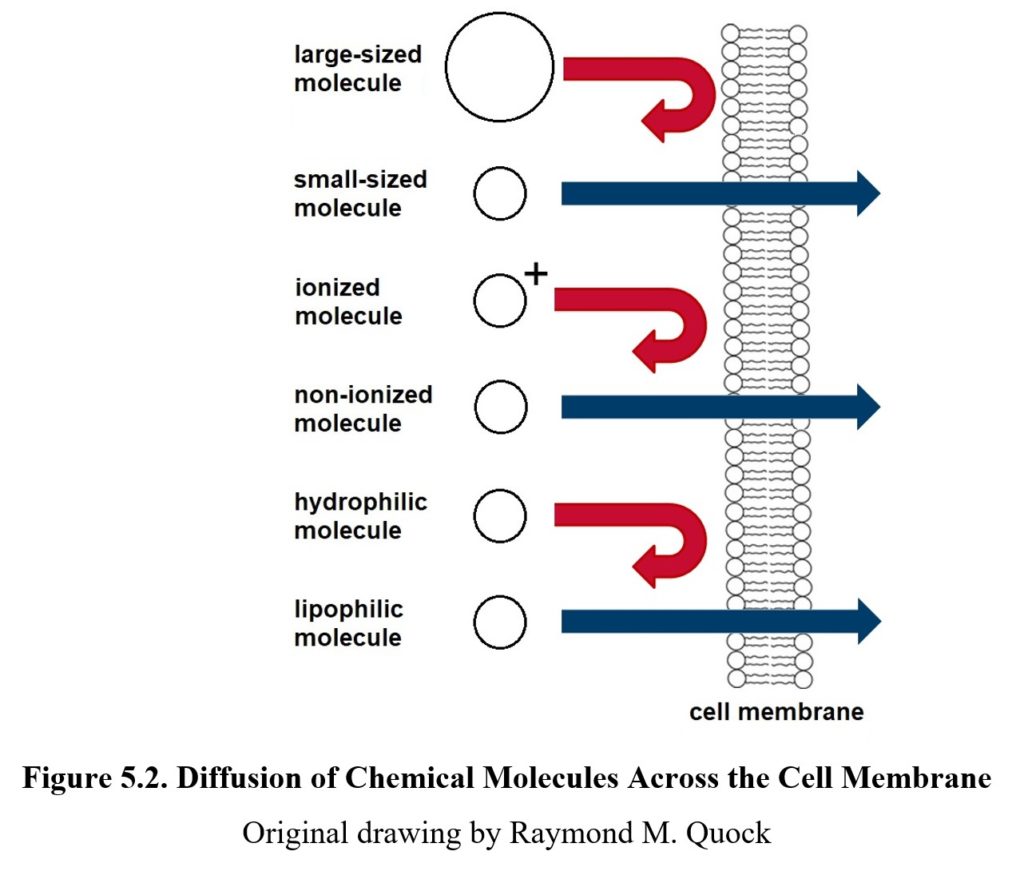 Chapter 5: Pharmacokinetics – Drugs and Behavior