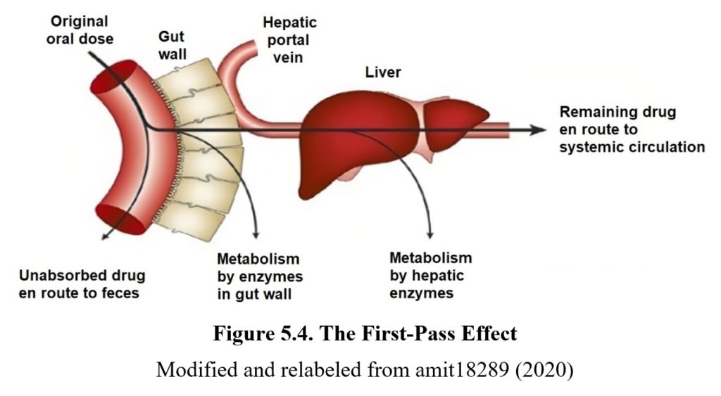 Chapter 5: Pharmacokinetics – Drugs and Behavior