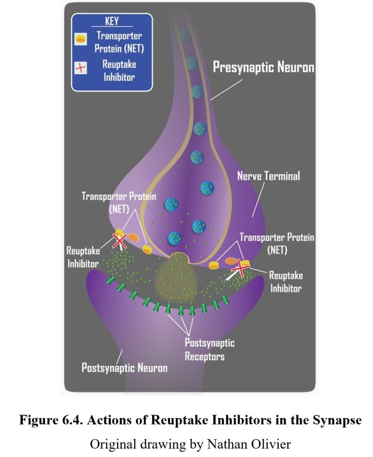 Chapter 6: Pharmacodynamics – Drugs and Behavior
