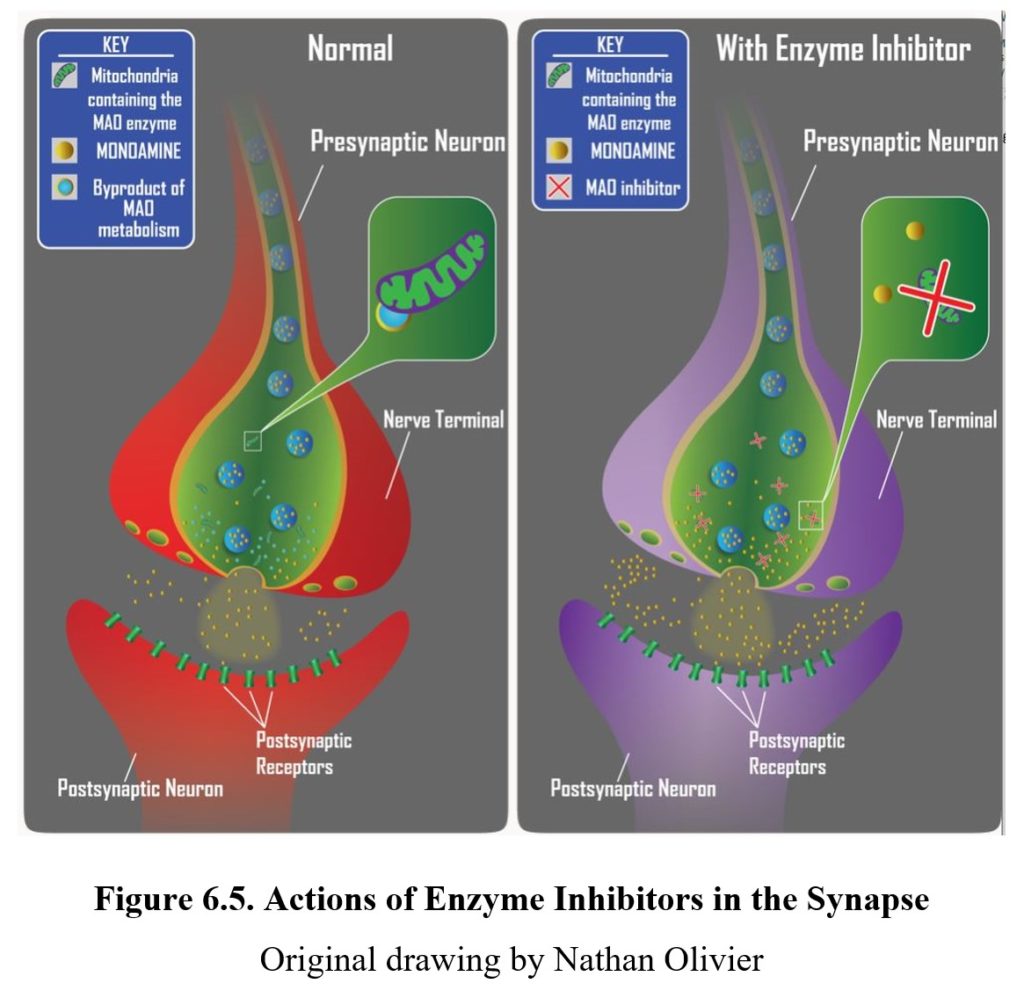 Chapter 6: Pharmacodynamics – Drugs and Behavior