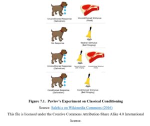 Chapter 7: Reward and Reinforcement – Drugs and Behavior