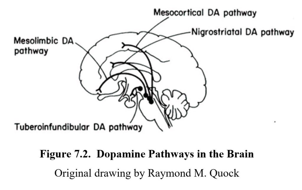 Chapter 7: Reward and Reinforcement – Drugs and Behavior