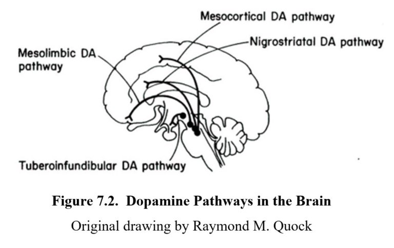 Chapter 7: Reward and Reinforcement – Drugs and Behavior