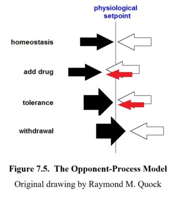 Chapter 7: Reward and Reinforcement – Drugs and Behavior