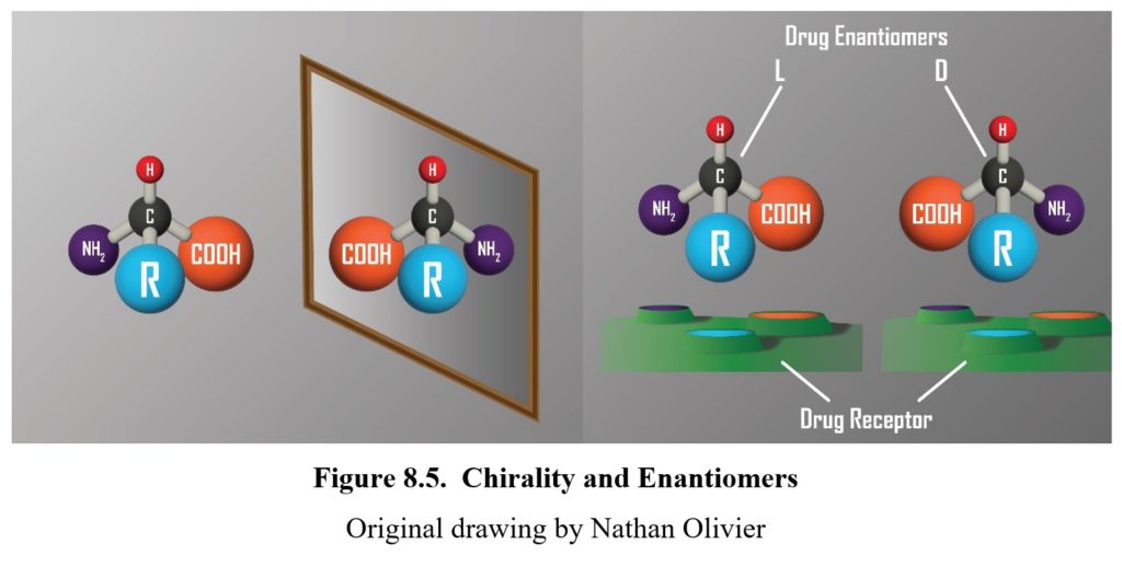 Chapter 8: High-Efficacy Stimulants – Drugs and Behavior