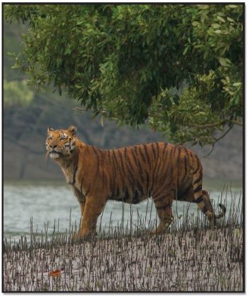 13.5 PRESERVATION OF NATURAL RESOURCES – Introduction to Human Geography