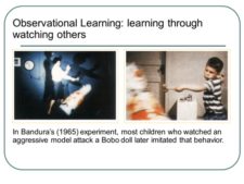 Module 6: Basic Operant Conditioning Principles/Procedures and ...