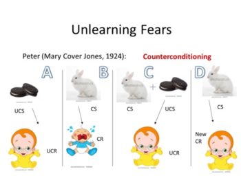 Unlearning Fears – Principles of Behavior Analysis and Modification