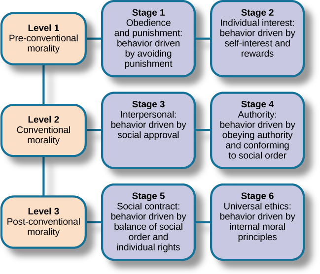Lifespan Theories OpenStax Psychology Revisions
