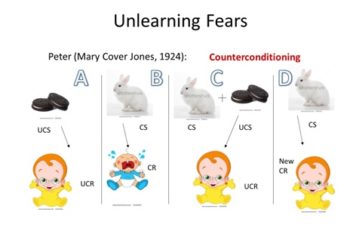 Module 5: Applications of Respondent Conditioning – Principles of ...