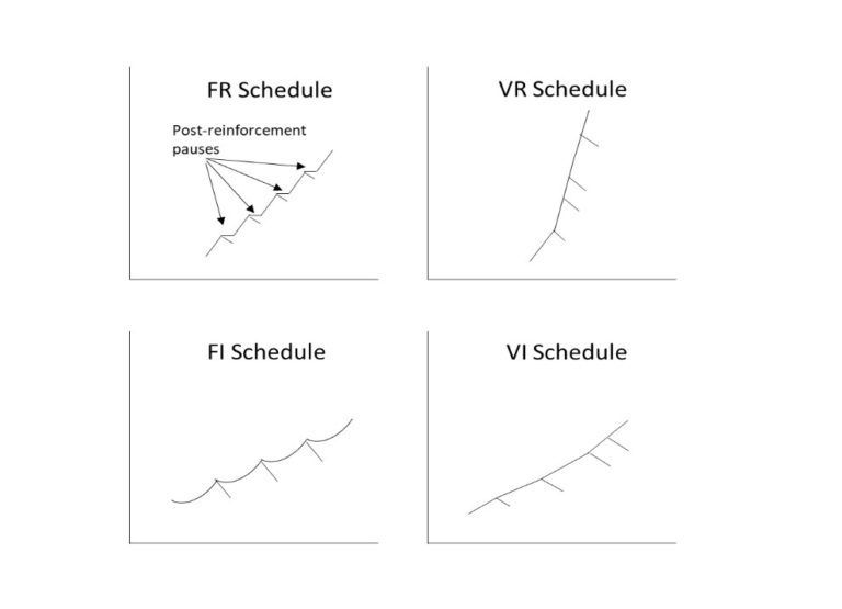 Module 6: Operant Conditioning – Principles of Learning and Behavior