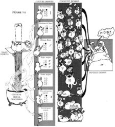 5.6 The Gestalt Principles of Perception – Introductory Psychology